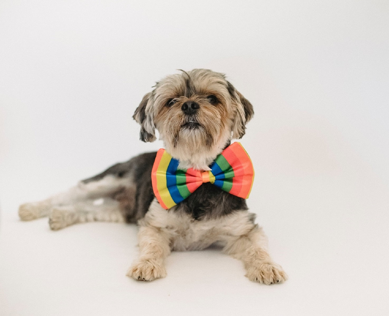 Celebrating National Bow Tie Day The Inkopious Way