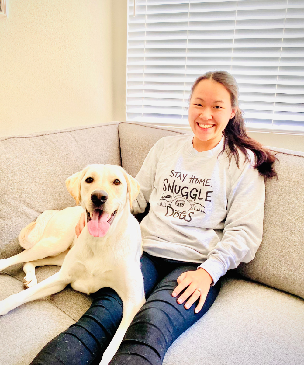 Doggy Date Night: How to Create a Pawesome Time! – Inkopious