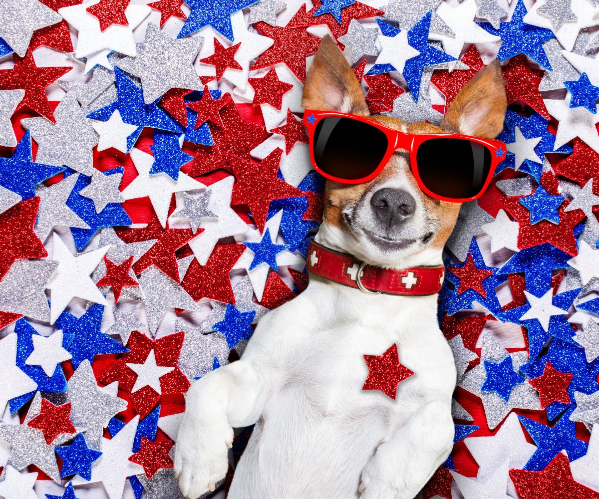 Celebrating Easter With Your Pup - Inkopious