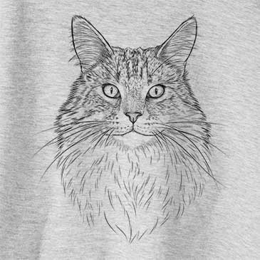 Maine Coon Cat Gifts & Merch - Shirts, Mugs, Stickers & More - Inkopious