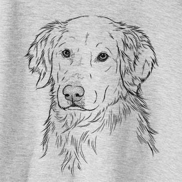 Spencer the Golden Retriever – Inkopious