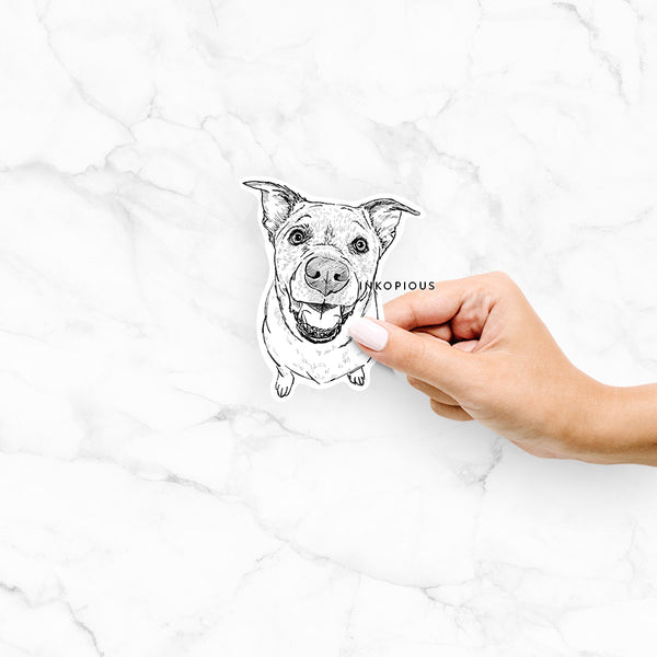 Doodled Boulder the Boxer/Heeler/Corgi Mix - Inkopious