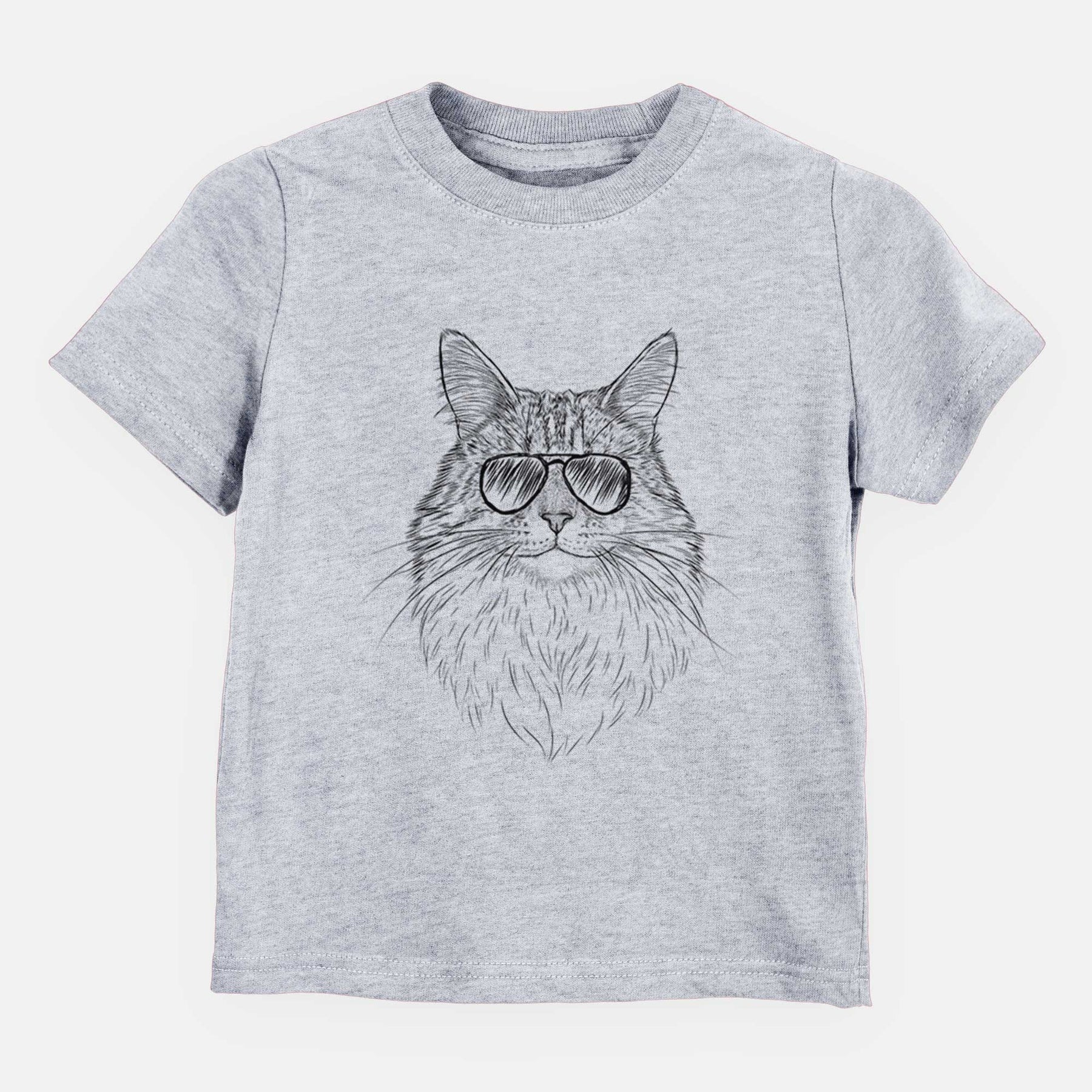 Angel the Maine Coon Cat - Inkopious