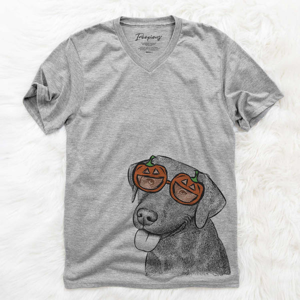 Zeppelin the Black Labrador - Pumpkin Collection - Inkopious